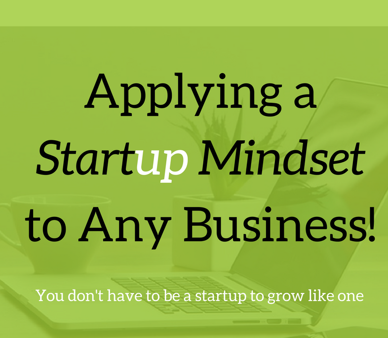 Applying a startup mindset to any business-Our first full length course ...